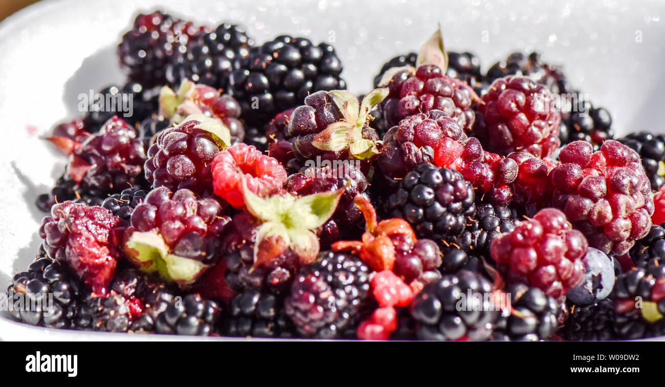 Multiple serving punnet hi-res stock photography and images - Alamy
