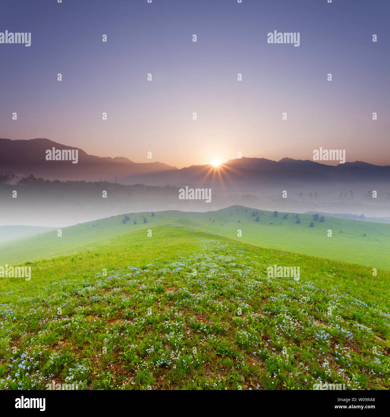 Greenfield with white photography Stock Photo - Alamy