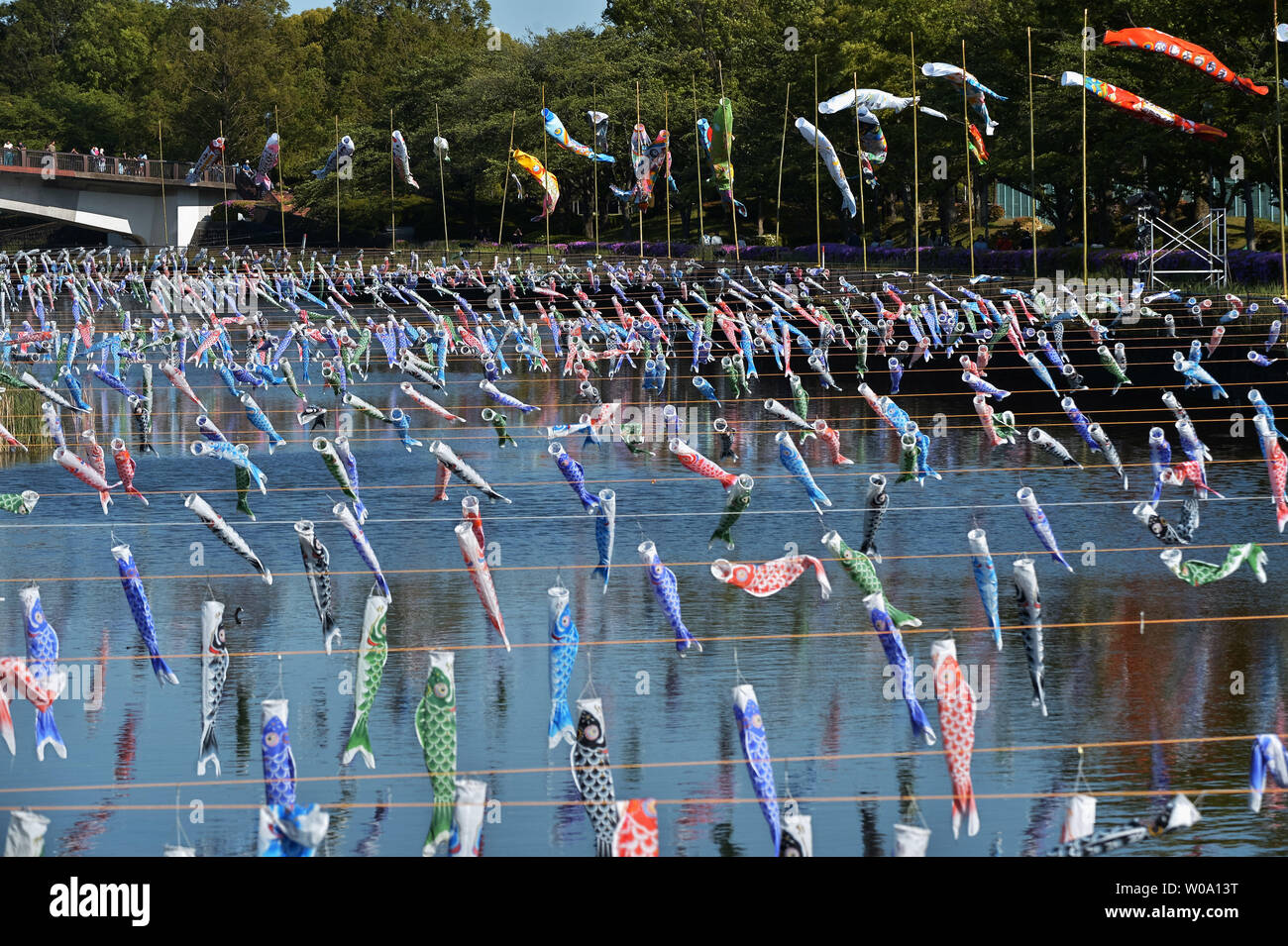 About 4000 Carp Streamers are display at the Tsuruuda river in ...