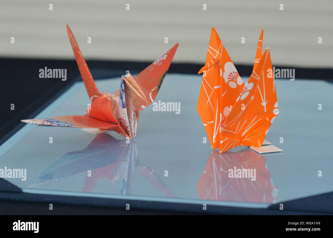 Paper cranes made by U.S. President Barack Obama are display at the ...