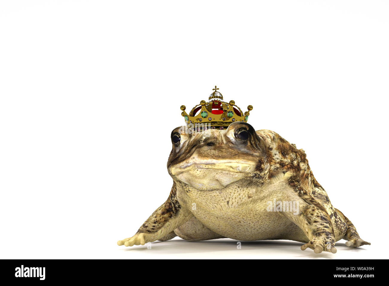toad with crown isolated on white background 3d illustration Stock ...
