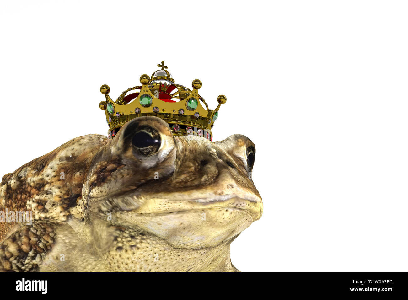 toad with crown isolated on white background 3d illustration Stock ...