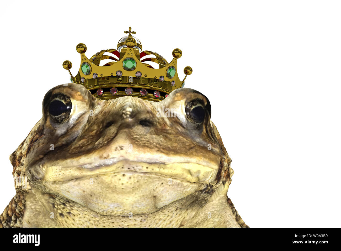 toad with crown isolated on white background 3d illustration Stock ...