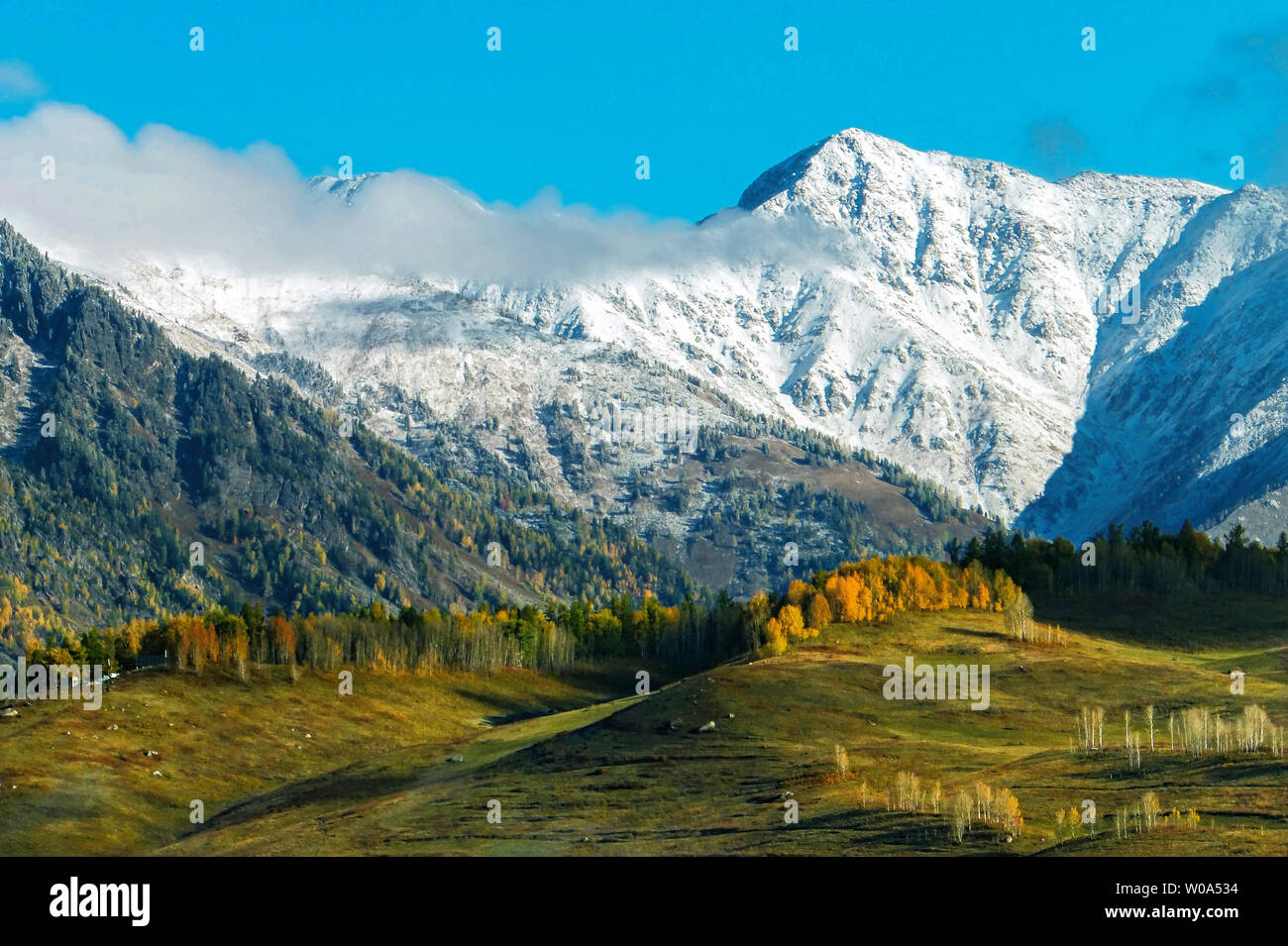 Autumn of Northern Xinjiang Stock Photo - Alamy
