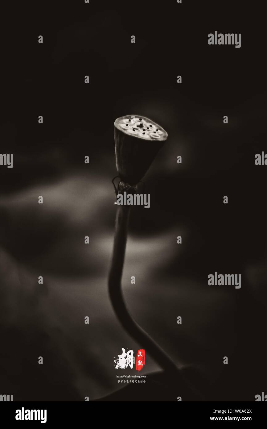 Wenkai hi-res stock photography and images - Alamy