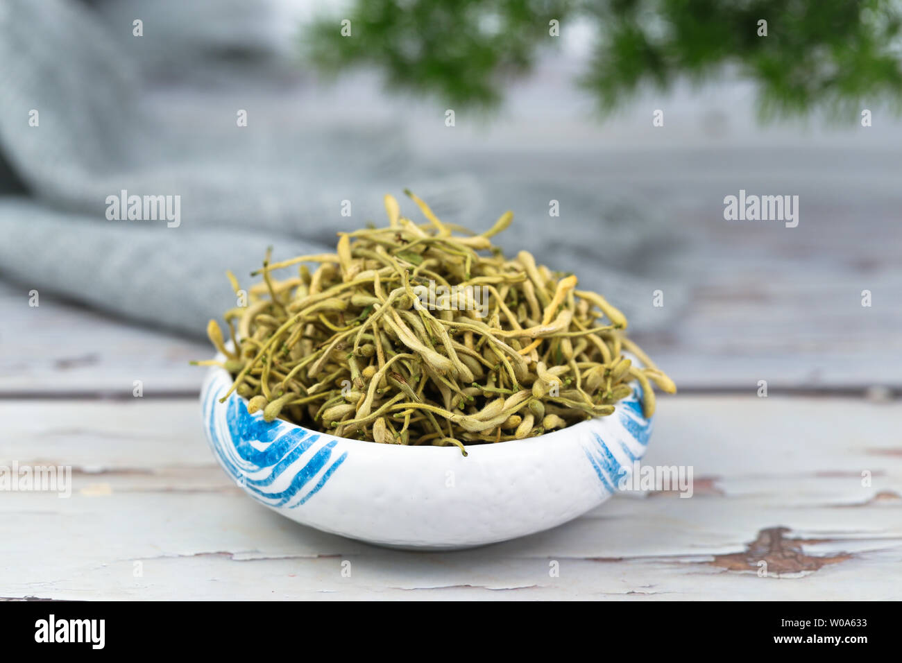 Chinese Honeysuckle High Resolution Stock Photography and Images - Alamy