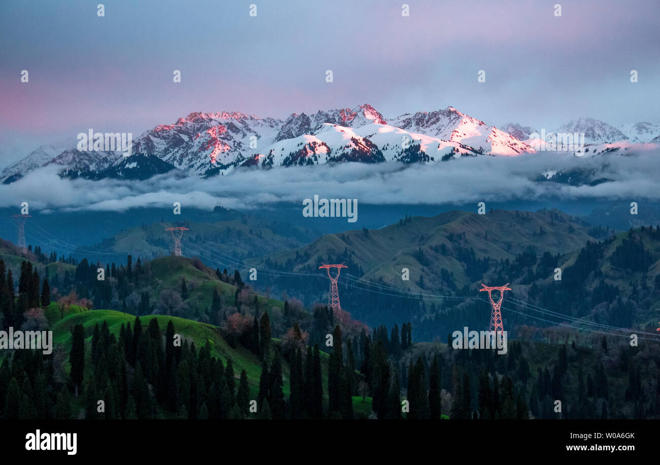 All of the images are from Narathi grassland, Turgen apricot flower ...