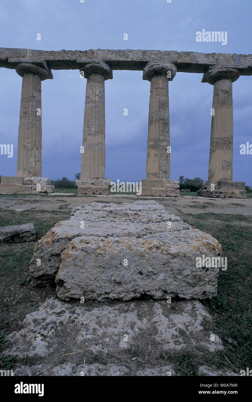 italy, basilicata, metaponto, remains of the temple of hera Stock Photo ...