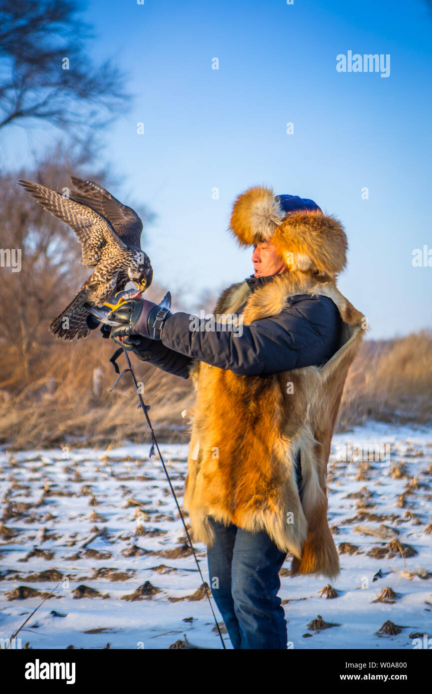 Eagle hunting tribe Stock Photo - Alamy