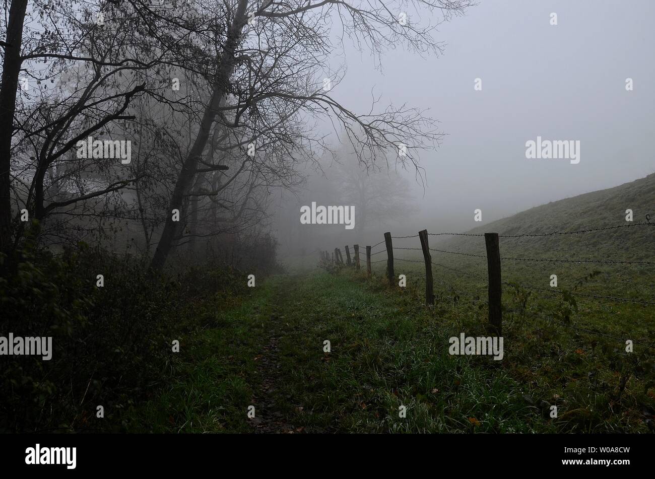 Foggy rural scene fence hi-res stock photography and images - Alamy