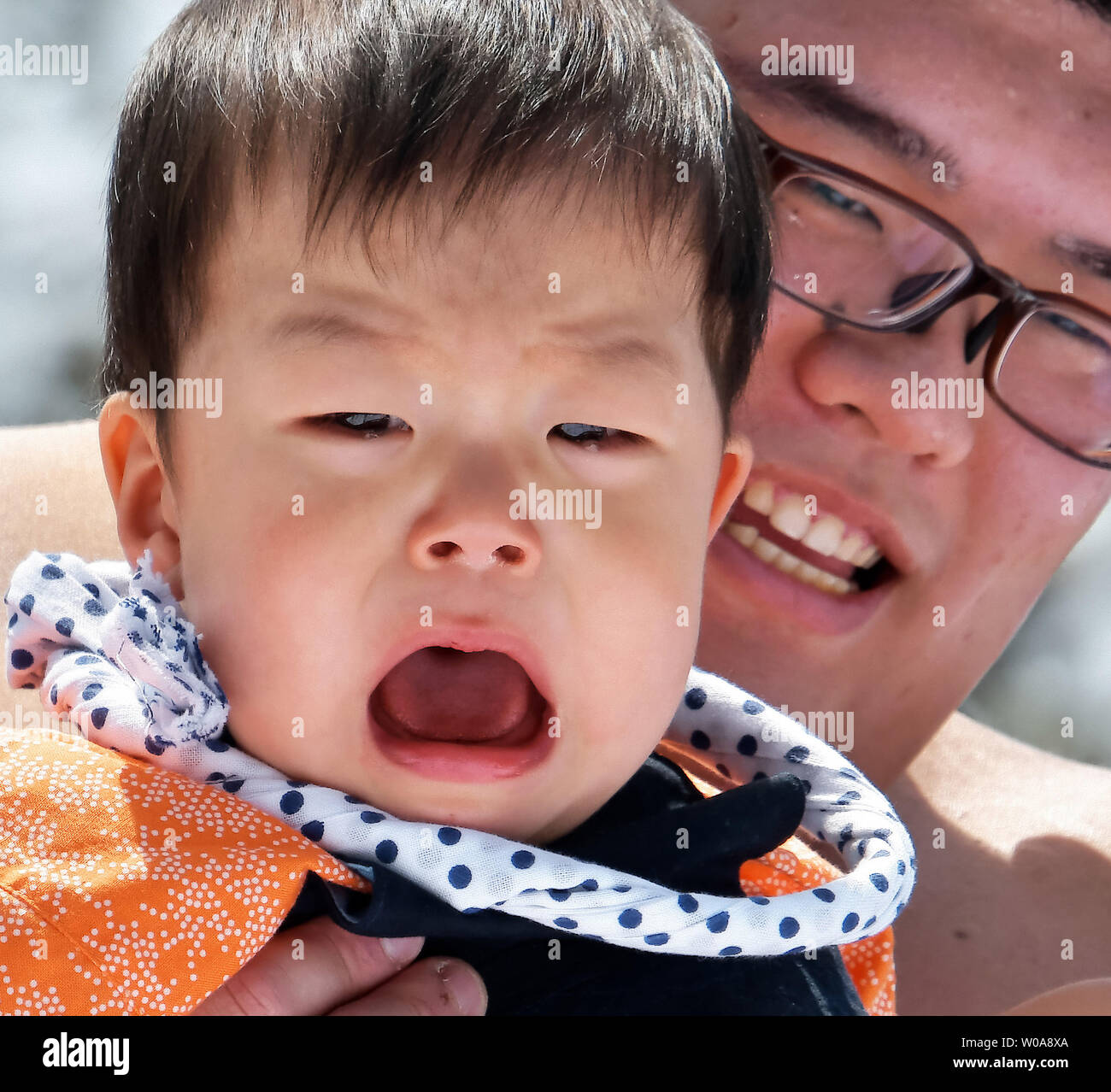 A baby held by an amateur sumo wrestler cries during the "baby crying ...