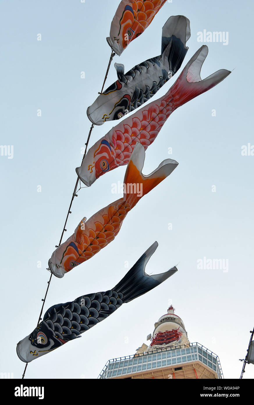 333 colorful Carp streamer are displayed, named after the 333m height ...