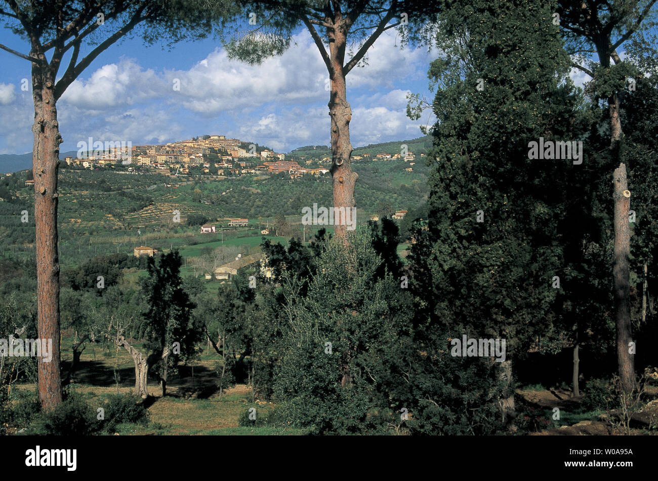 Castagneto carducci tuscany italy hi-res stock photography and images ...