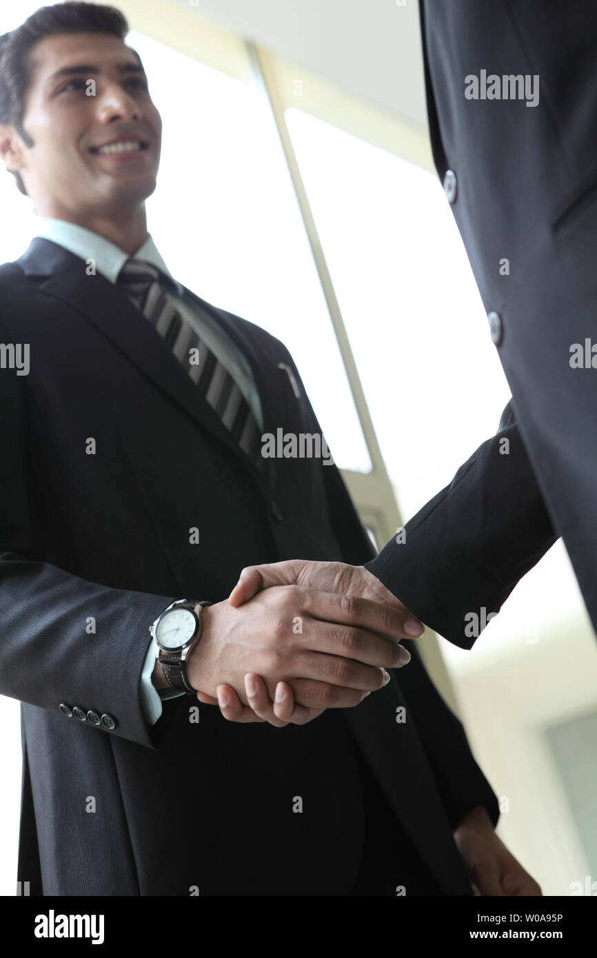 Two business executives shaking hands Stock Photo - Alamy