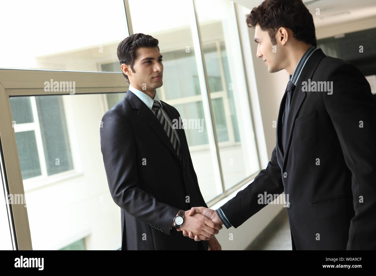 Two business executives shaking hands Stock Photo - Alamy