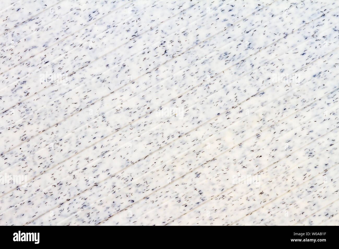 Old plastic texture background hi-res stock photography and images - Alamy