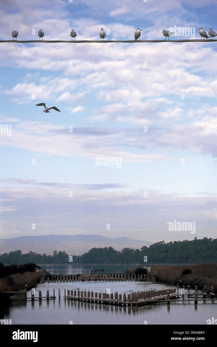 The lake of fogliano hi-res stock photography and images - Alamy