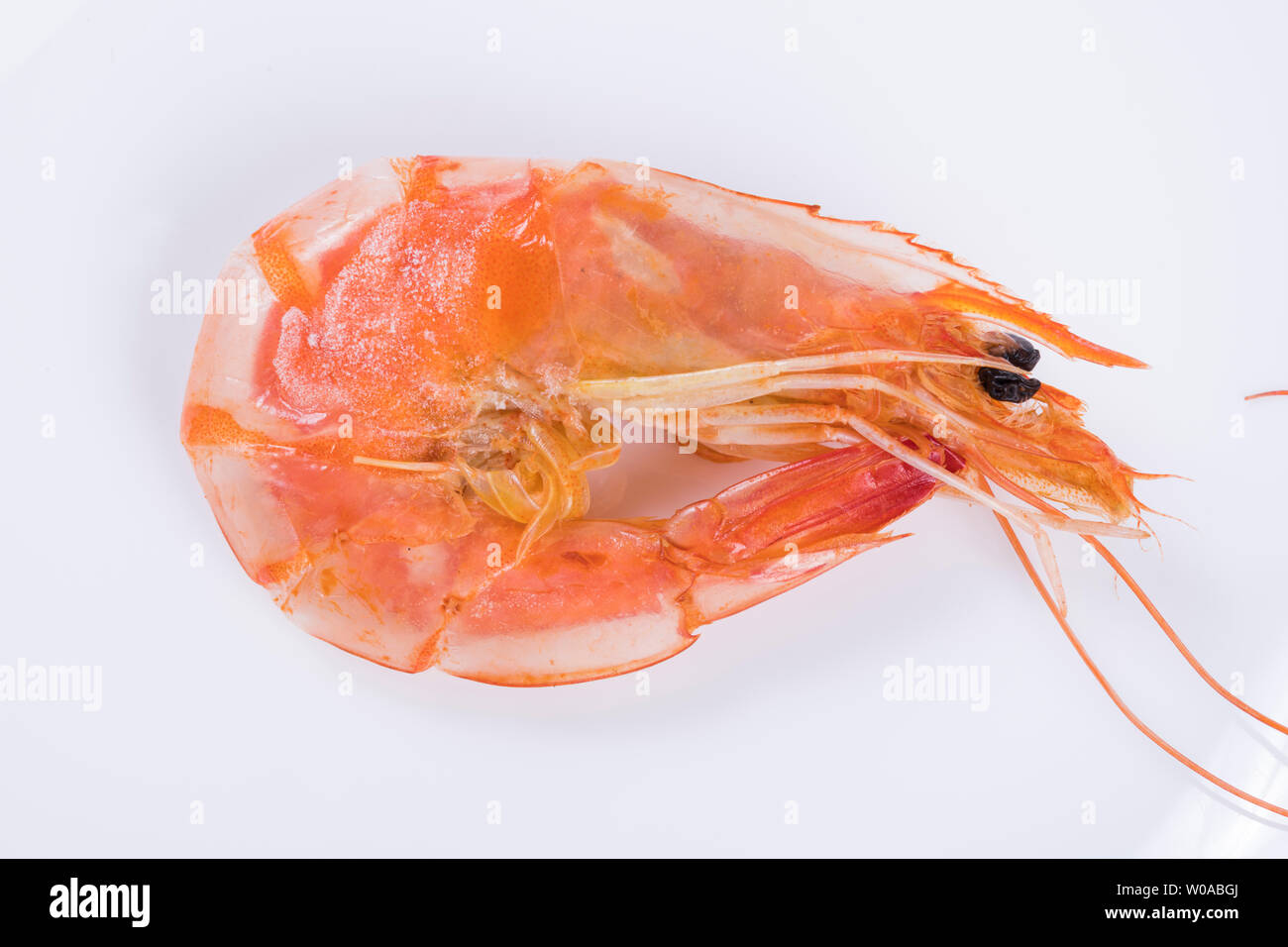 Dried shrimp skin hi-res stock photography and images - Alamy