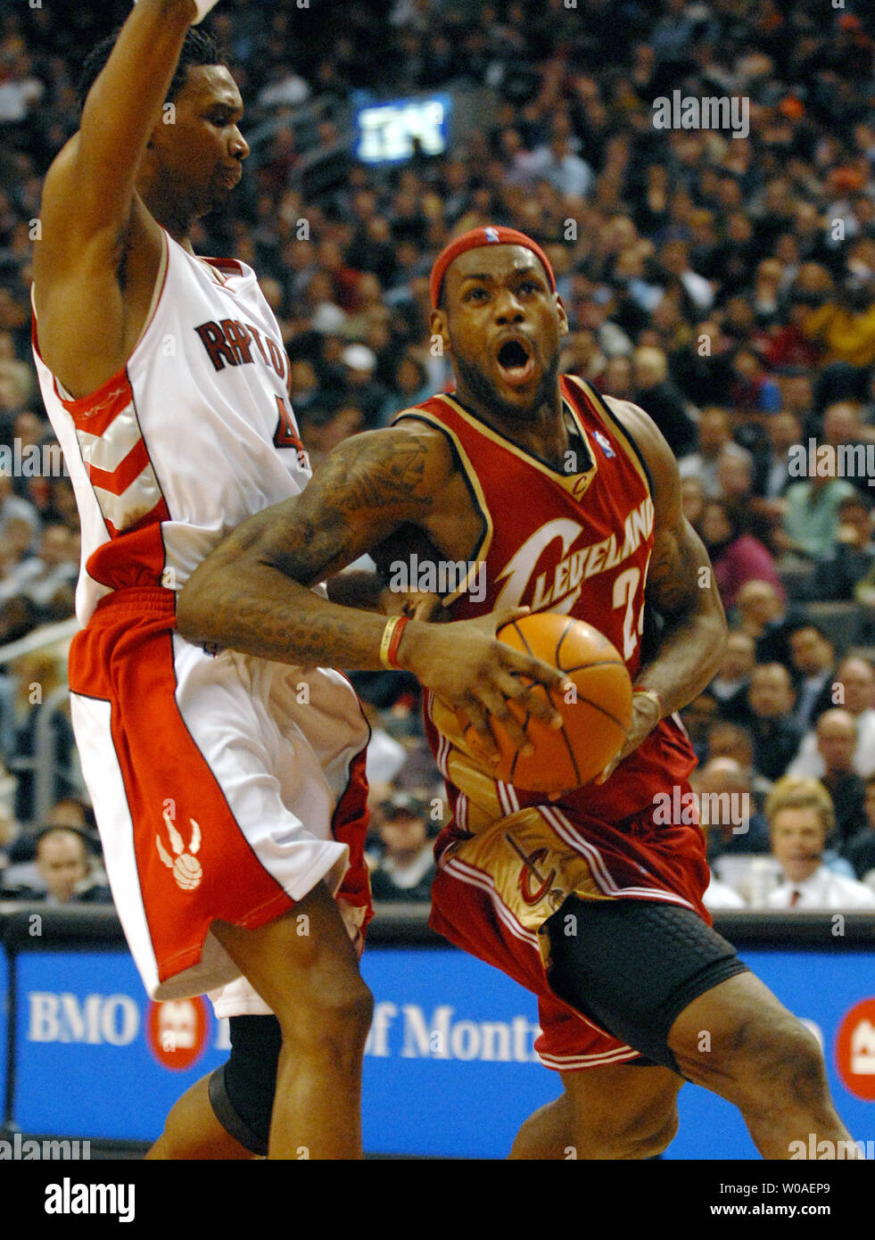 Lebron James Raptors