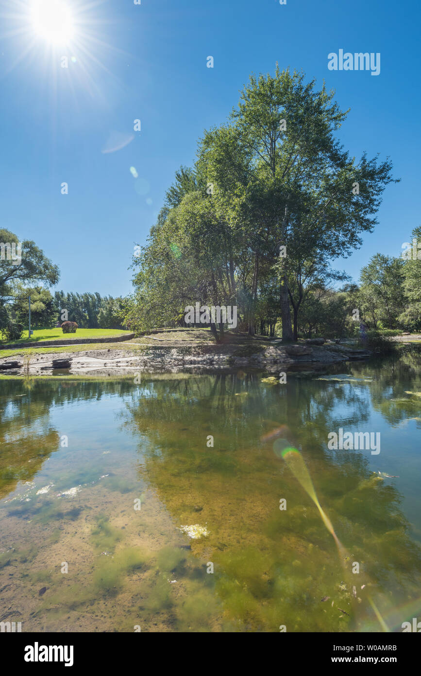 Pond woods at Sun Island scenic spot on autumn sunny day in Harbin ...