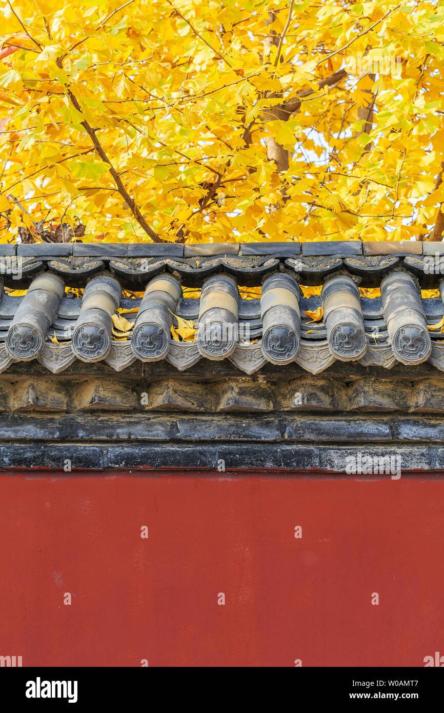 Autumn colors in the courtyard wall Stock Photo - Alamy