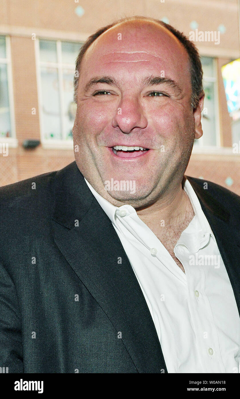 Actor James Gandolfini arrives for the world premiere of 'Violet ...
