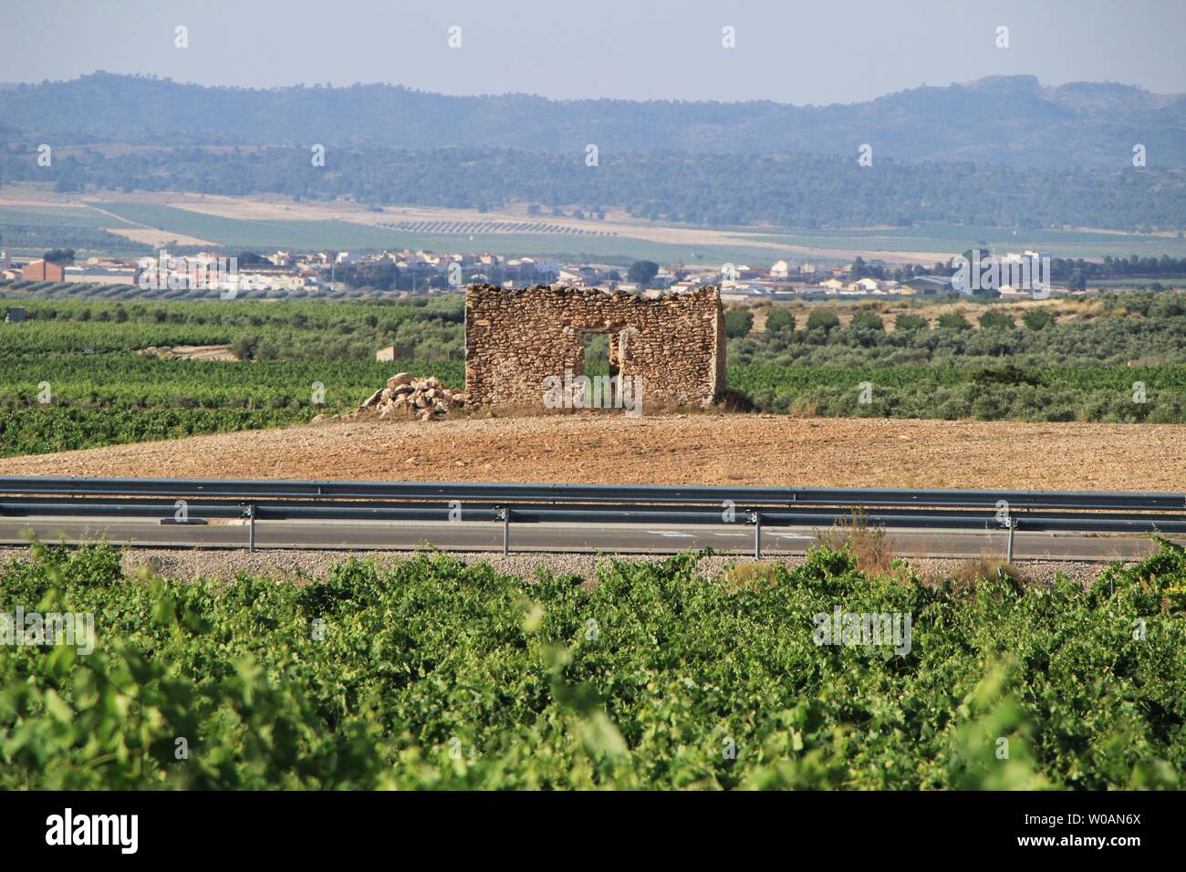 Jumilla vineyards hi-res stock photography and images - Alamy