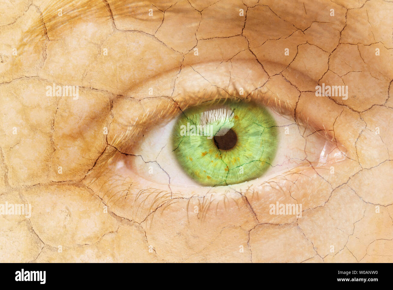 Cracked Skin. Closeup of a female eye with cracked skin. Aging process ...