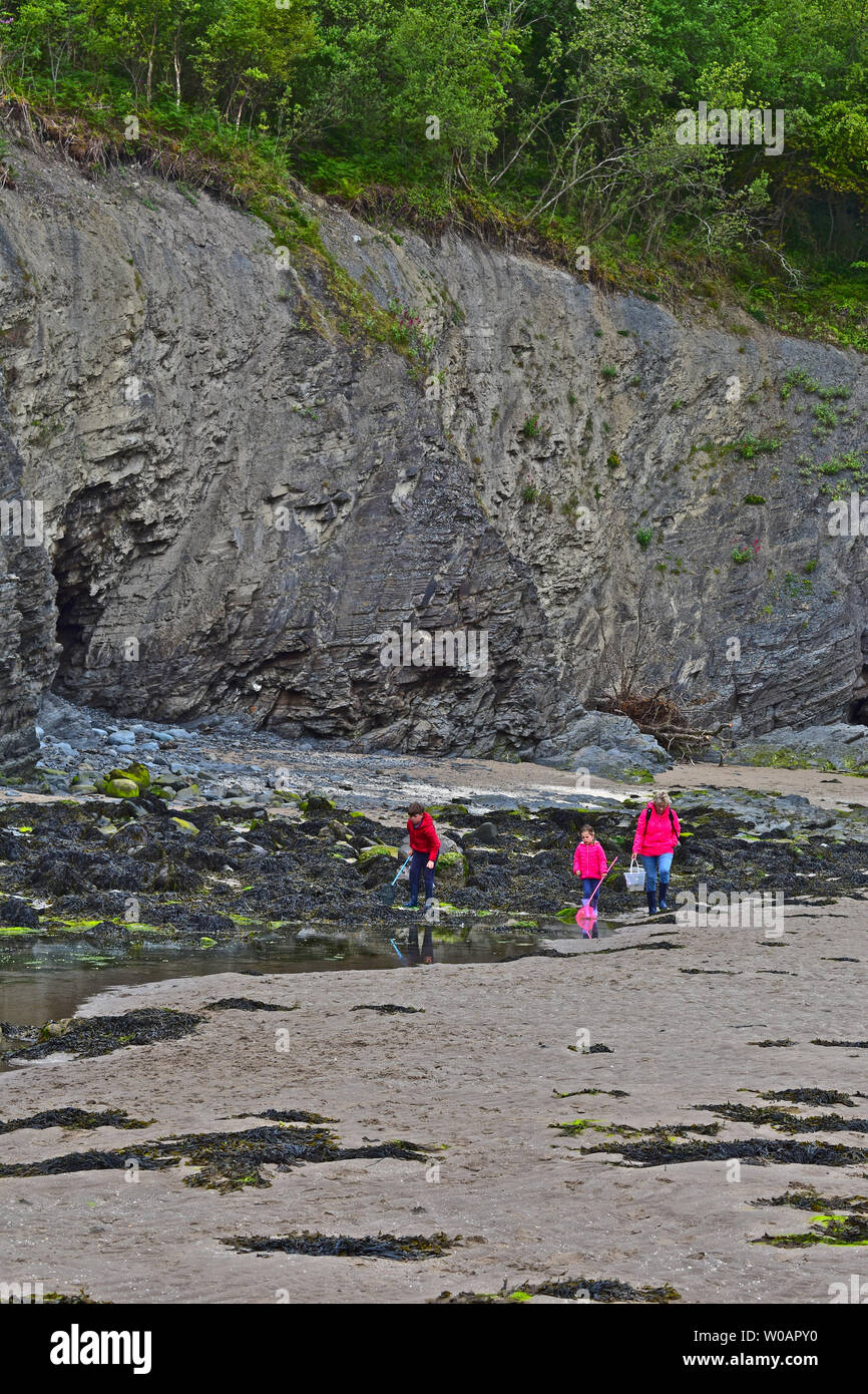 Day rock pooling hi-res stock photography and images - Alamy