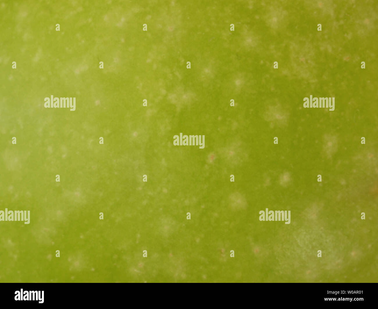 Green Apple Texture