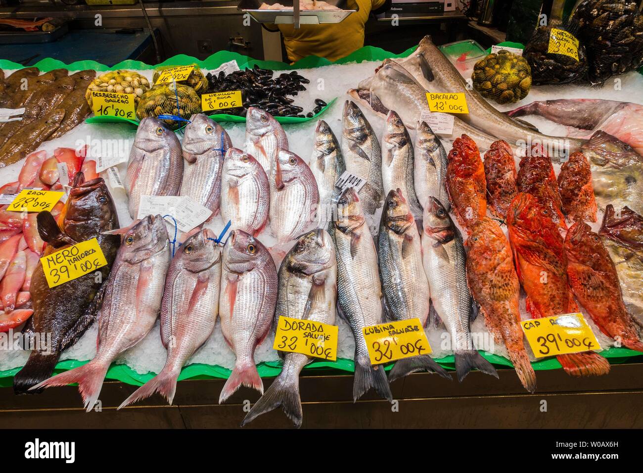Plenty of fish hi-res stock photography and images - Alamy