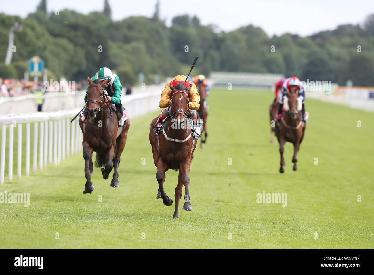 Gold mount ridden hi-res stock photography and images - Alamy