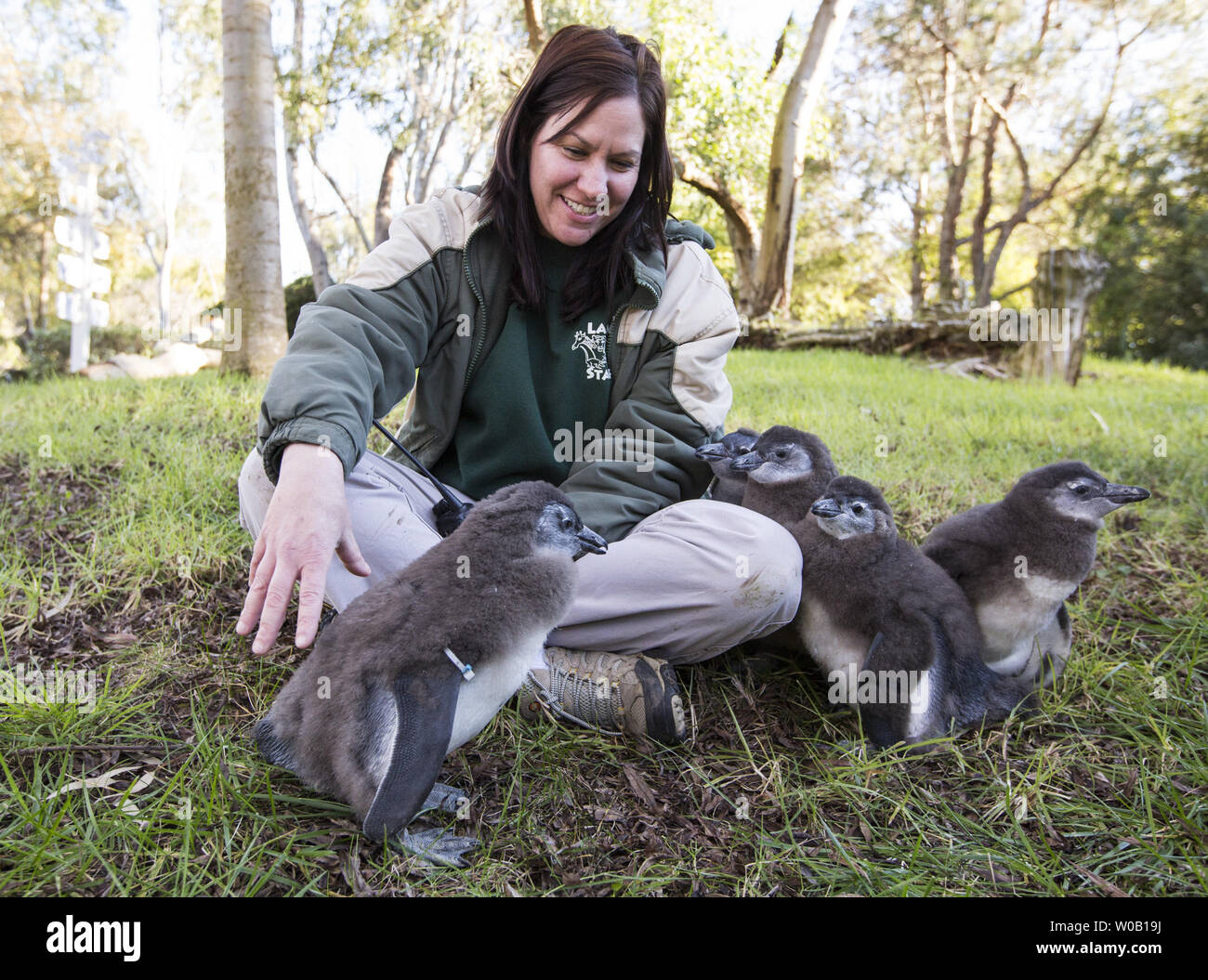 Keeper Robyn Arnold watches over Six Flags Discovery Kingdom’s newest ...