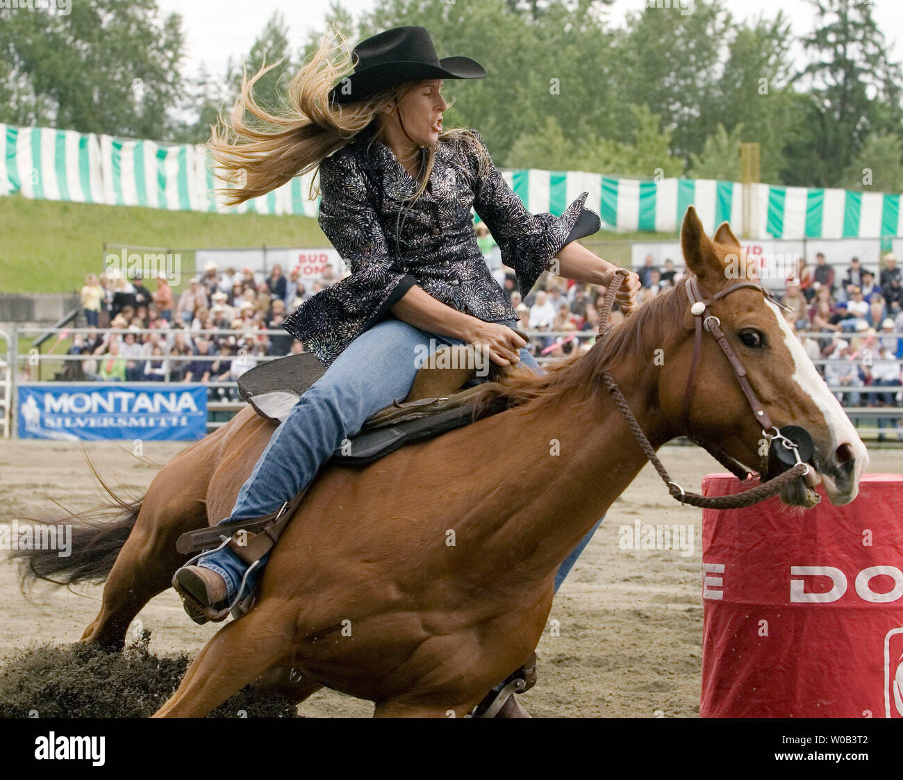 Sara Gerard of Savona, B.C., rounds a barrel in women's barrel racing ...