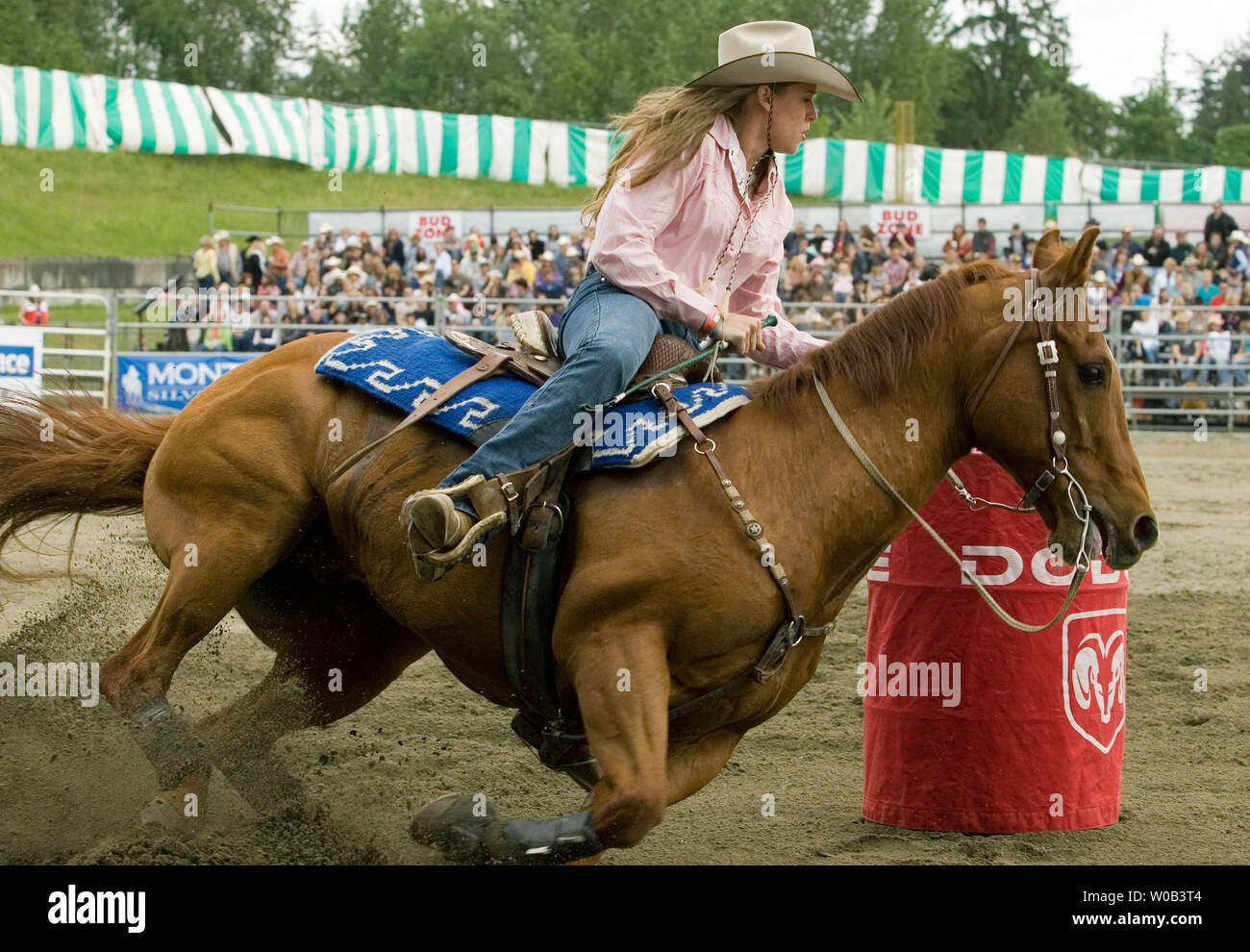 Princeton b c hi-res stock photography and images - Alamy