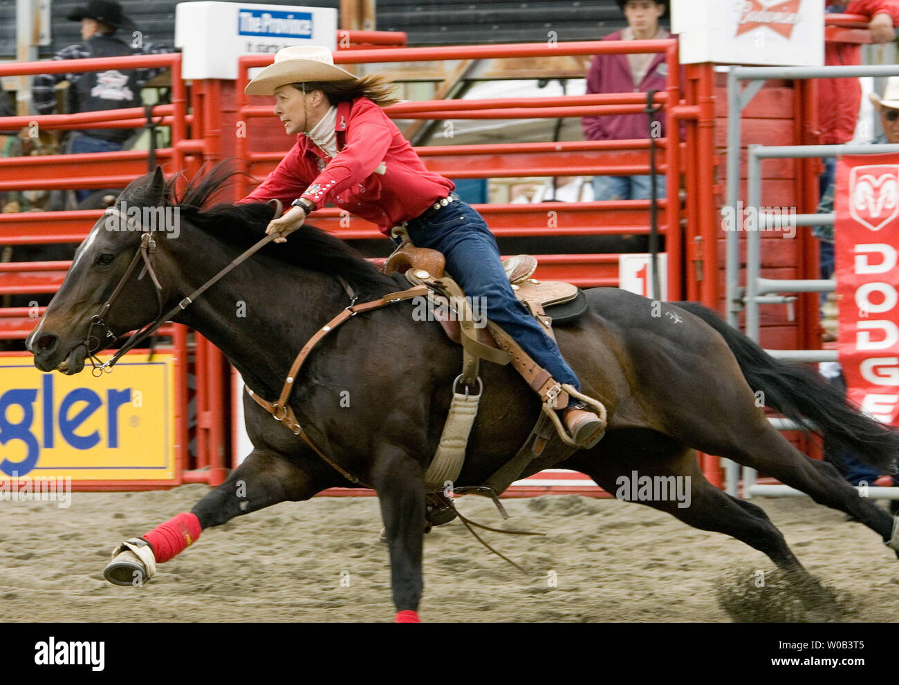 Williams lake rodeo hi-res stock photography and images - Alamy