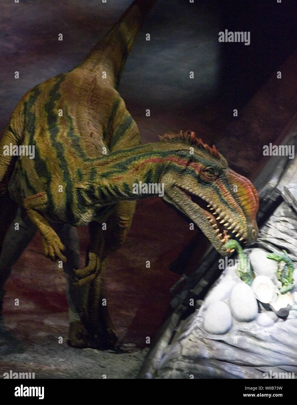 Baby dinosaurs tv show hi-res stock photography and images - Alamy