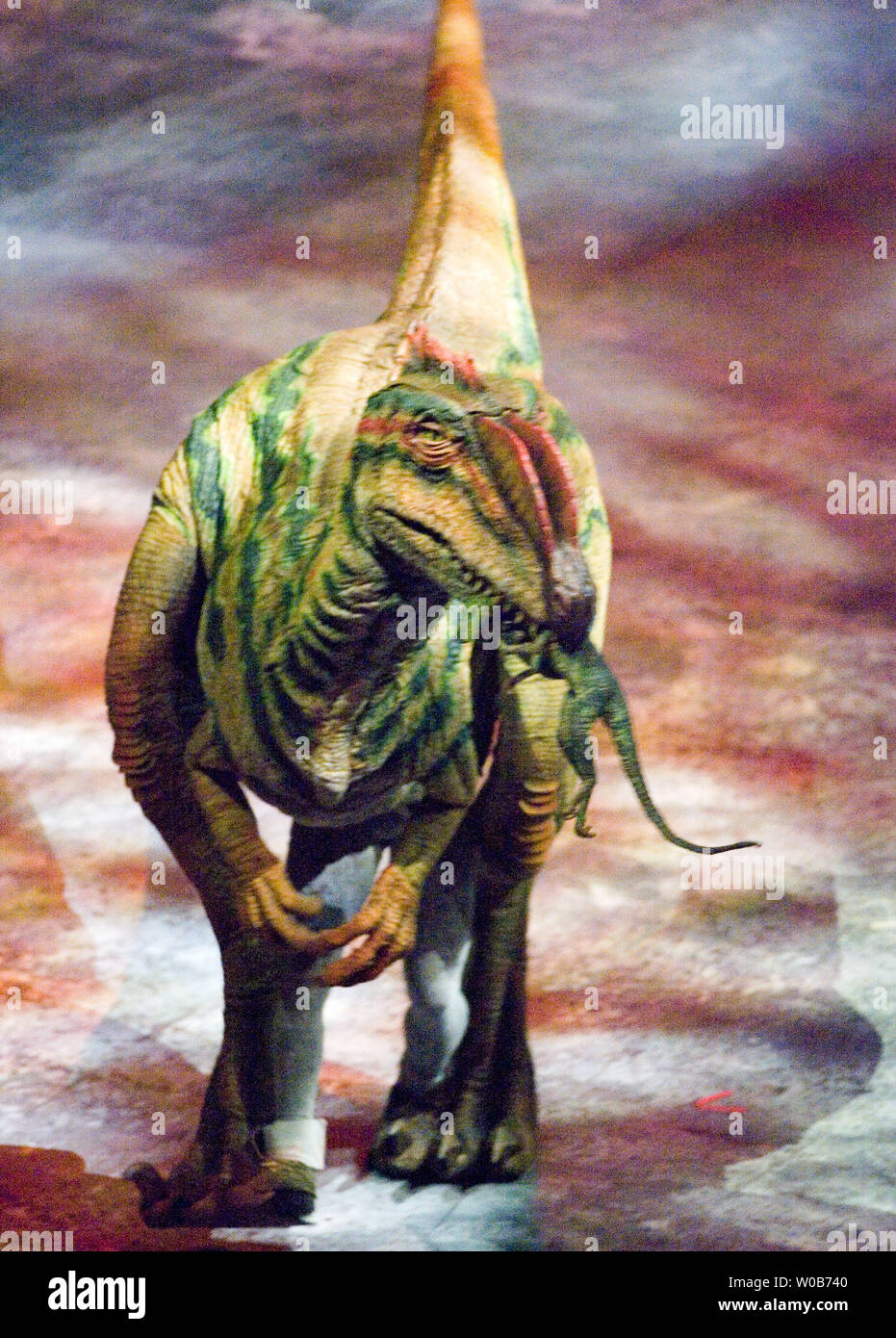 Liliensternus, approximately 6-meters long and 400kg from the Triassic ...