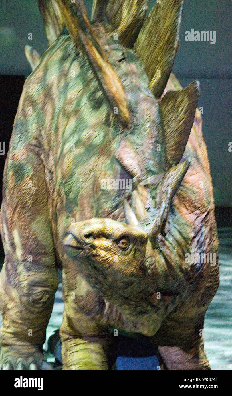 Stegosaurus Walking With Dinosaurs How To Watch 'Walking With