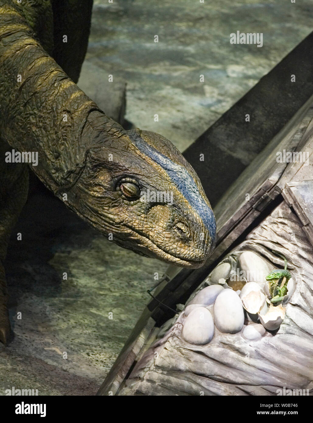 A mother Plateosaurus from the Triassic period returns to her nest to ...