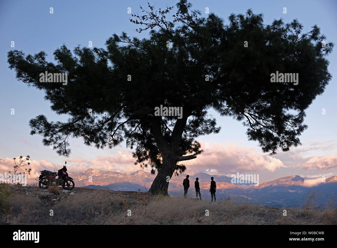 people in nature Stock Photo - Alamy