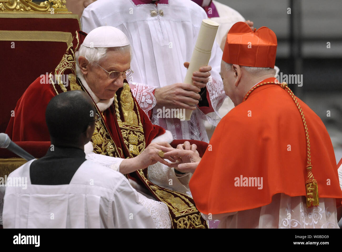 Cardinals Ring Pope