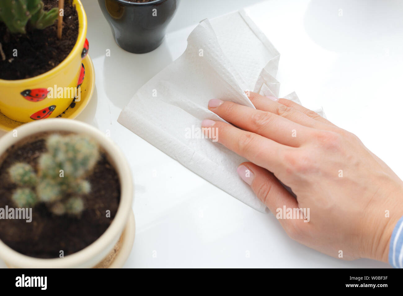 Hand cleaning with Paper Towel Stock Photo - Alamy