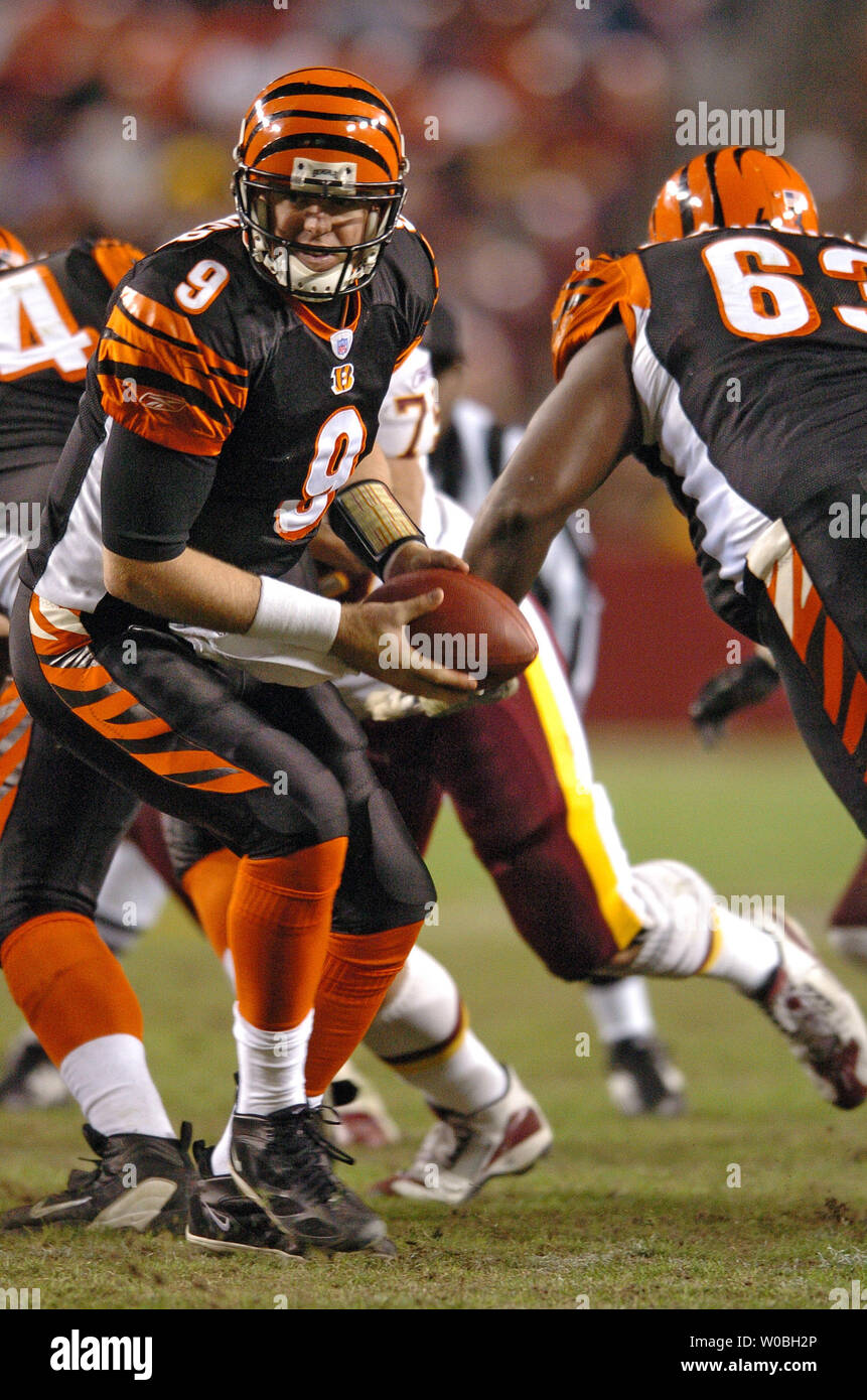 Carson palmer bengals hi-res stock photography and images - Alamy