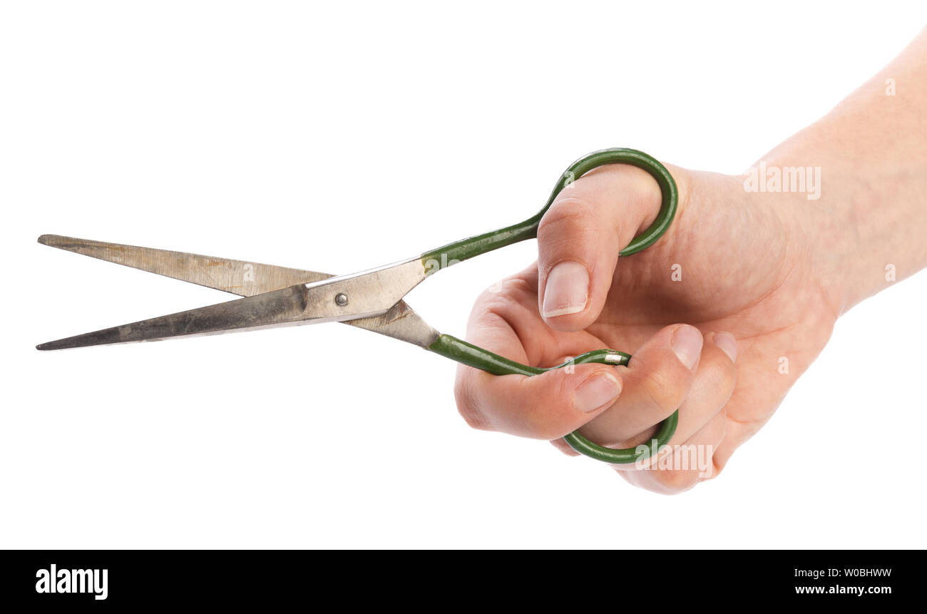 Female hand holding scissors, isolated on white background Stock Photo ...