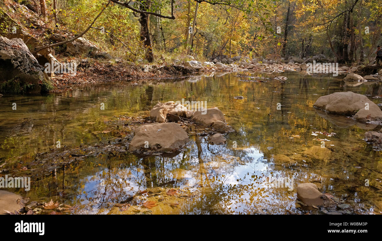 autumn colours in antalya turkey Stock Photo - Alamy