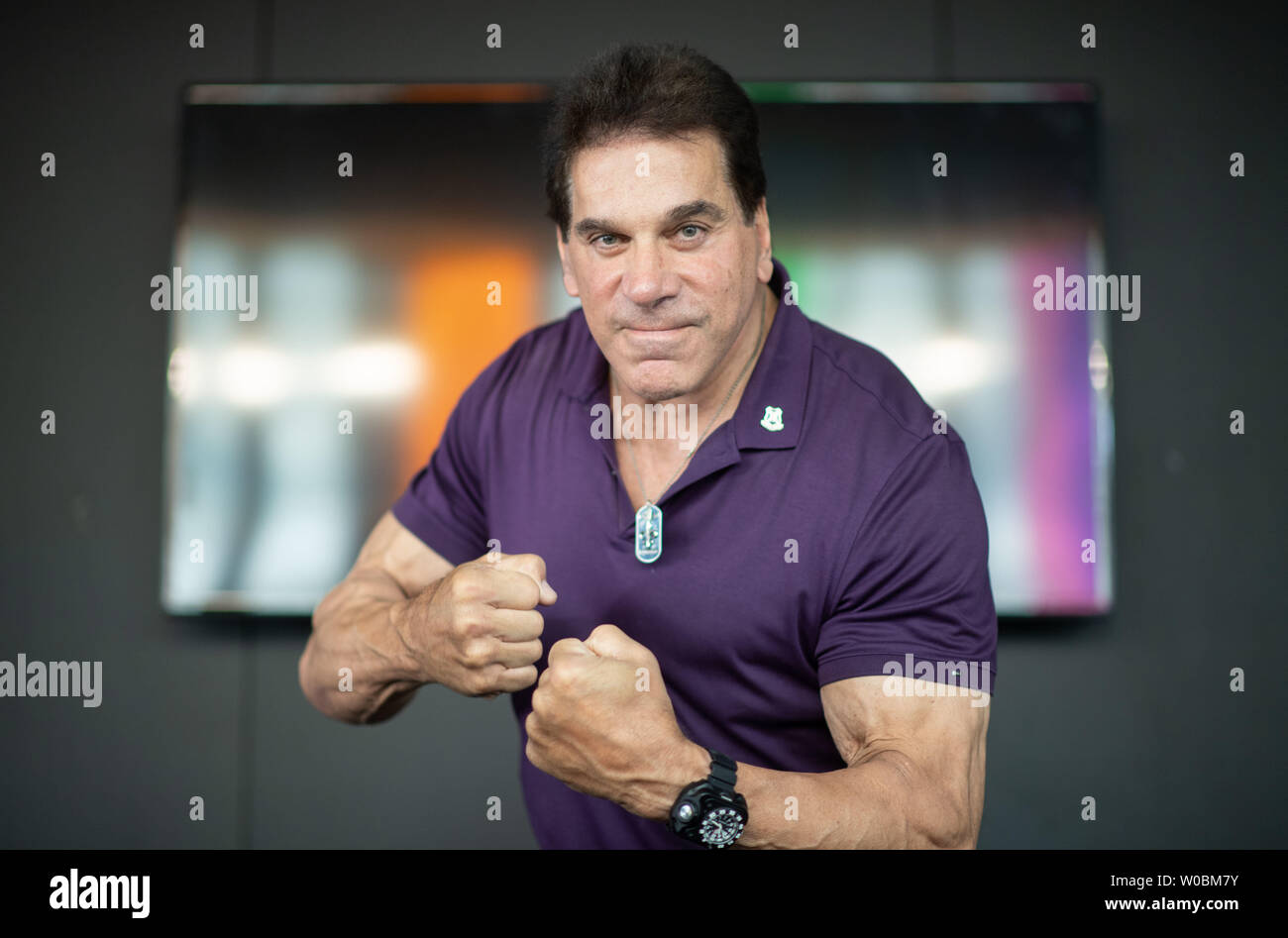 Lou ferrigno the hulk hi-res stock photography and images - Alamy
