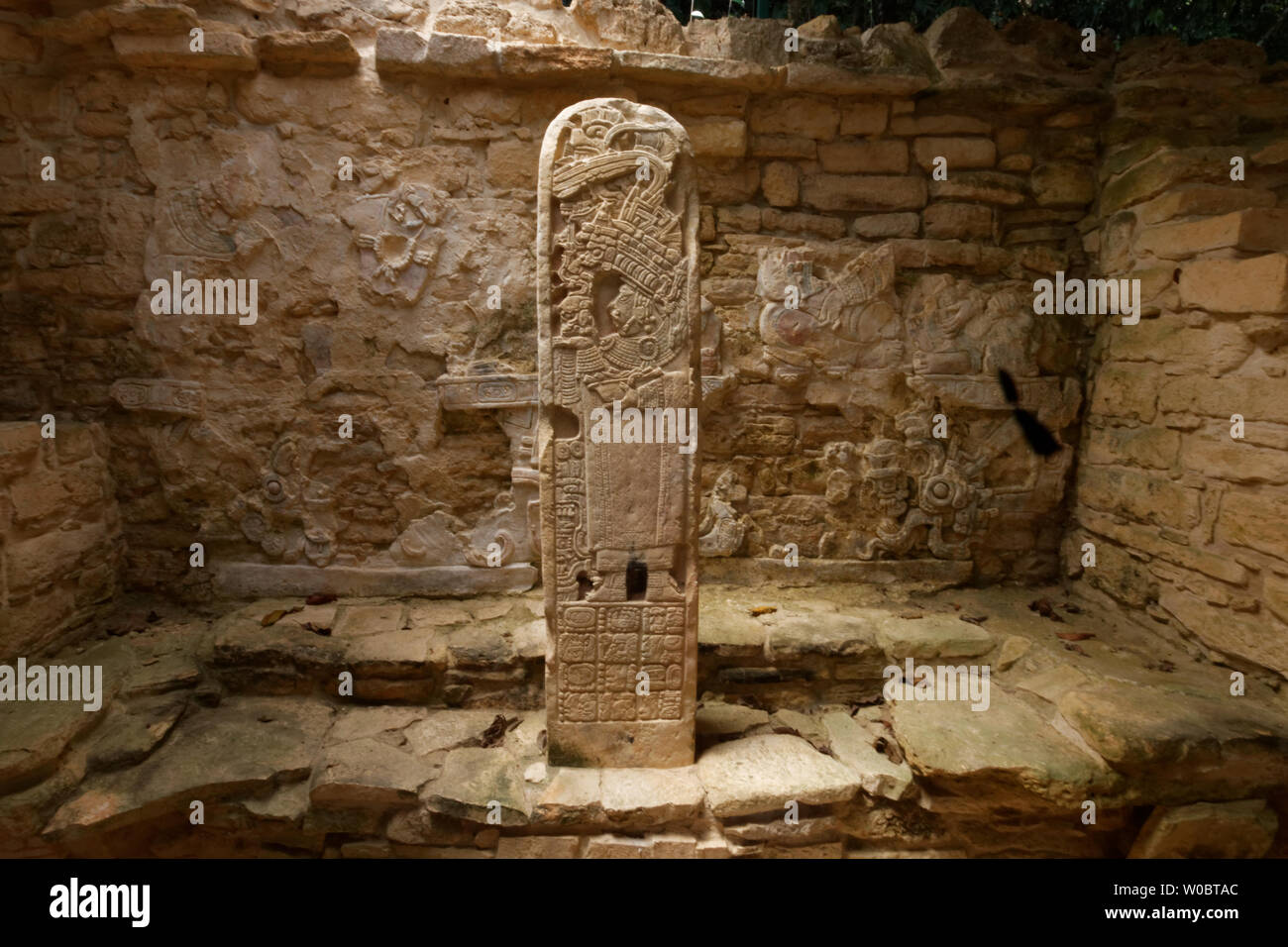 Mayan ruins in Chiapas, Mexico Stock Photo - Alamy