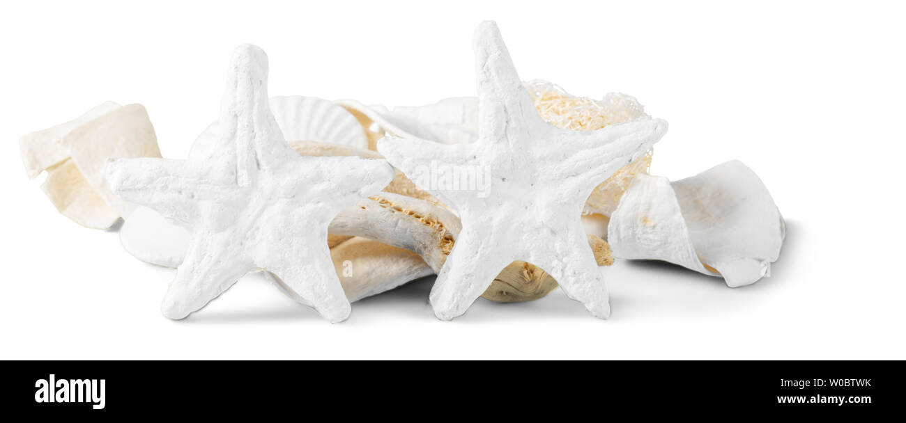decorational sea shells isolated over the white background Stock Photo ...