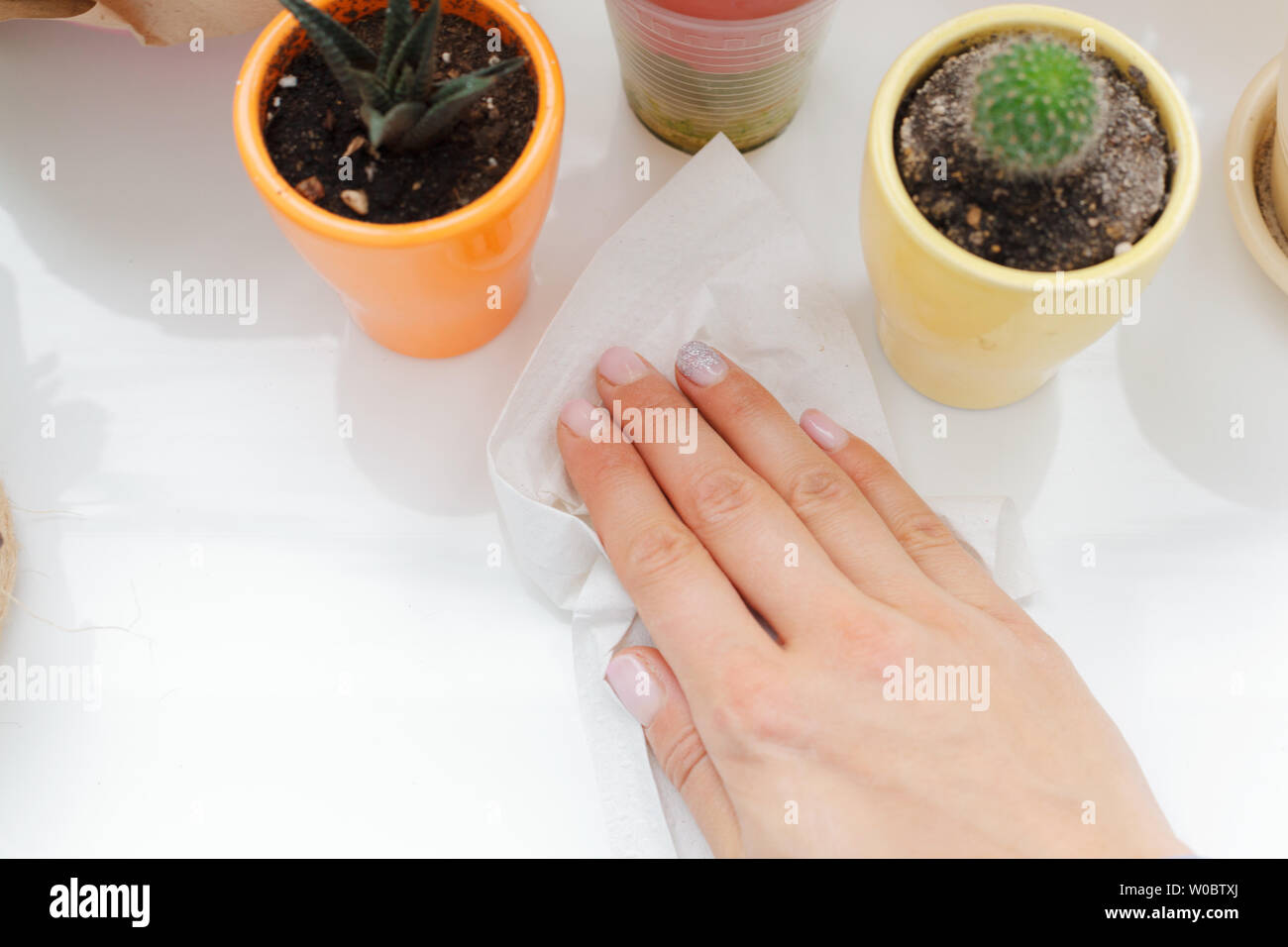 Hand cleaning with Paper Towel Stock Photo - Alamy